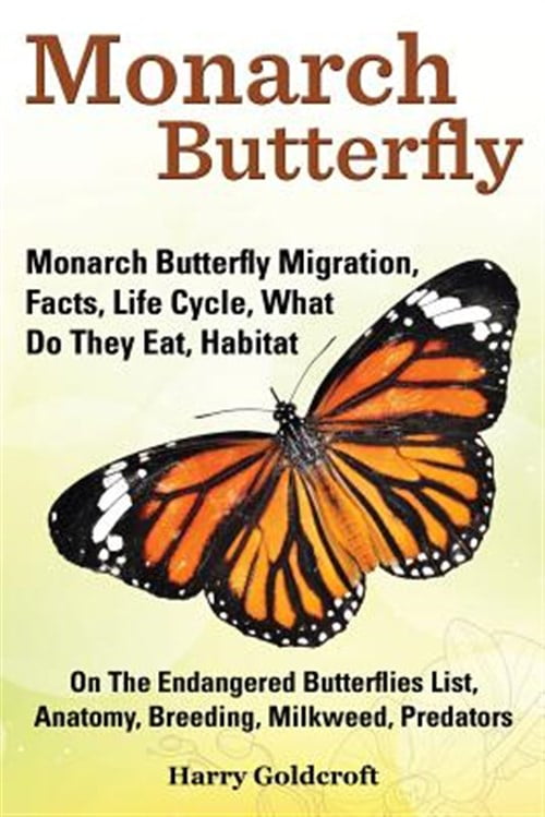 Pre-Owned Monarch Butterfly, Monarch Butterfly Migration, Facts, Life ...