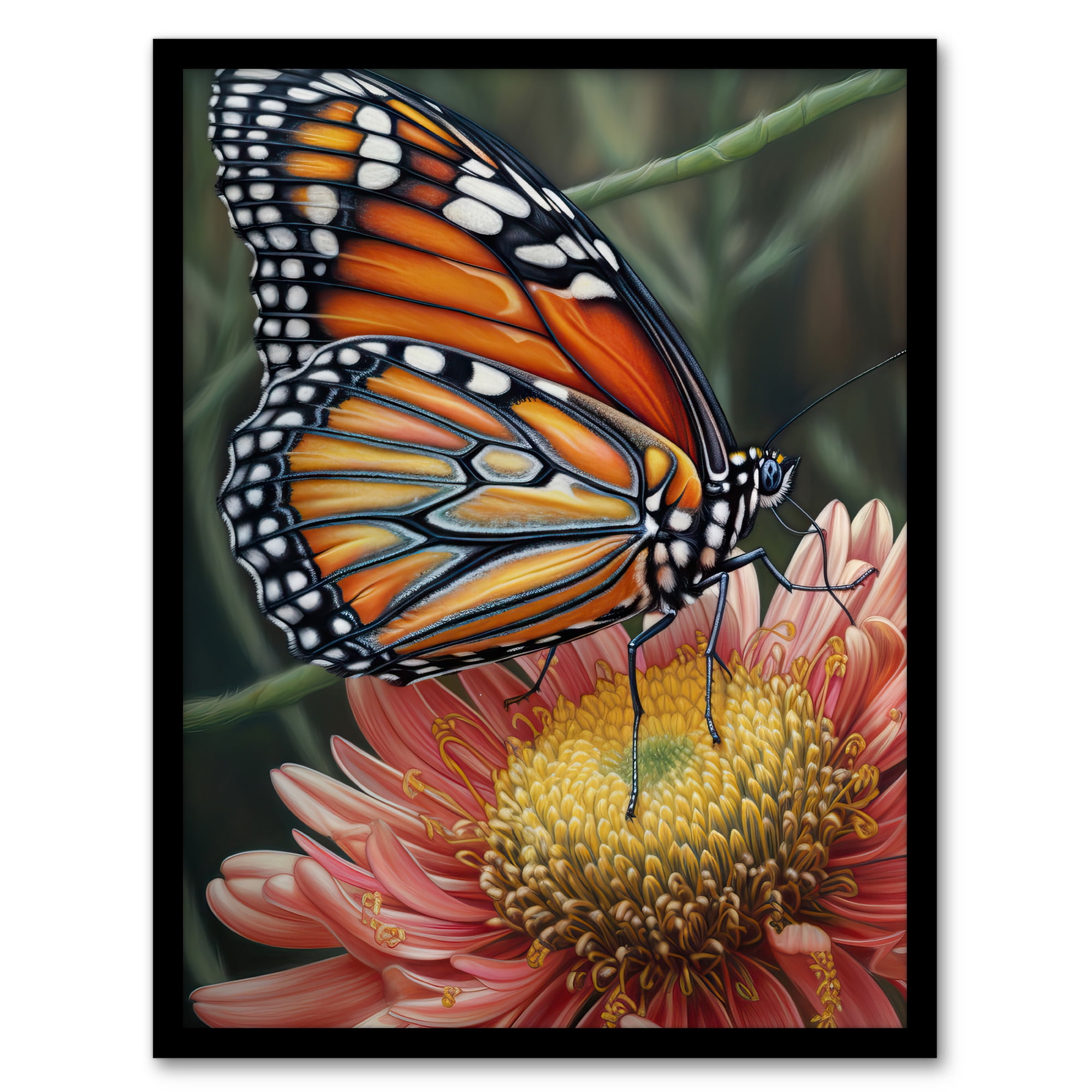 Monarch Butterfly On Chrysanthemum Flower Pencil Spring Bloom With ...