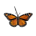 Monarch Butterfly Suncatcher Colorful Acrylic Window Hanging Decor ...