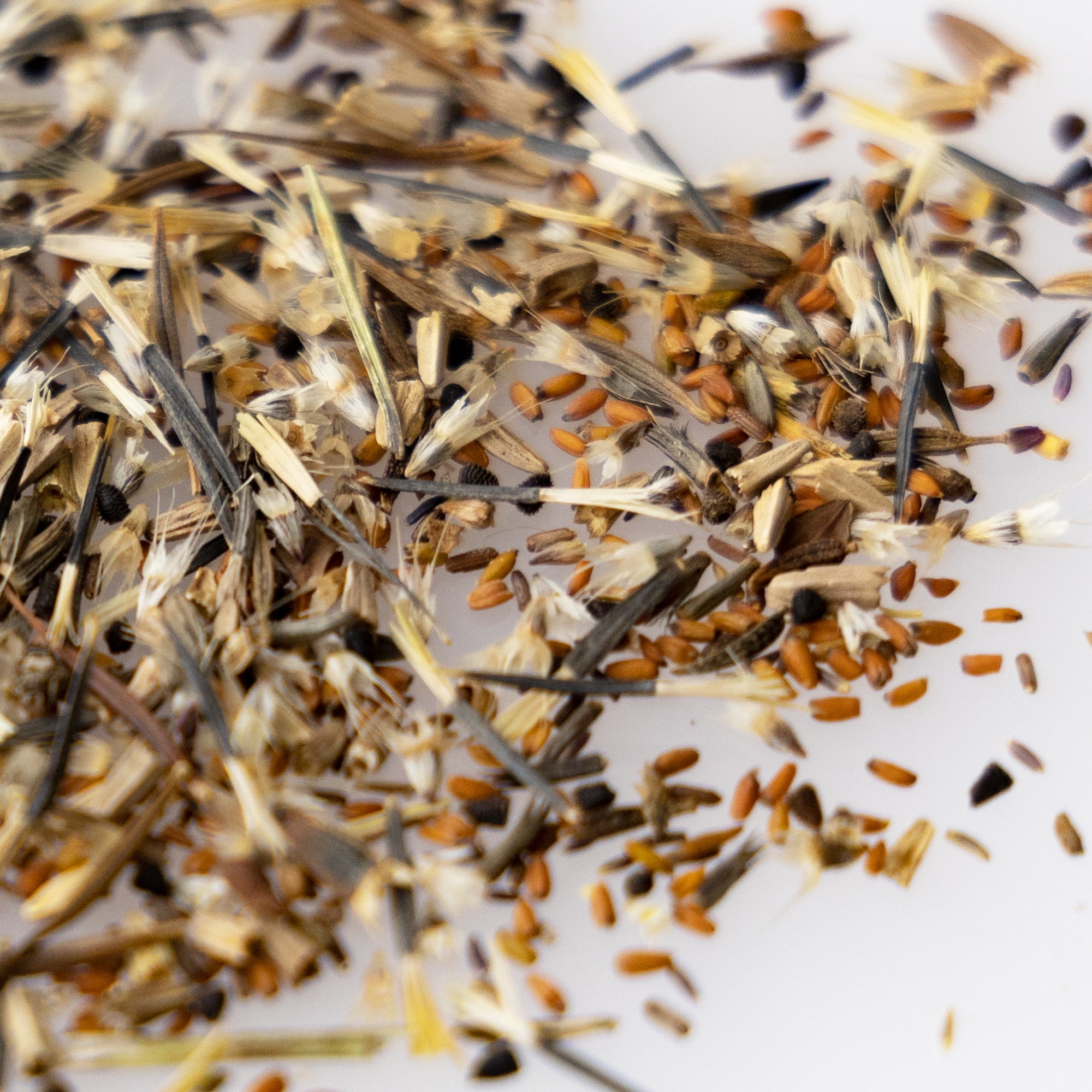 Monarch Butterfly Wildflower Mix - 1 Oz ~3000 - Butterfly Flower Mix ...