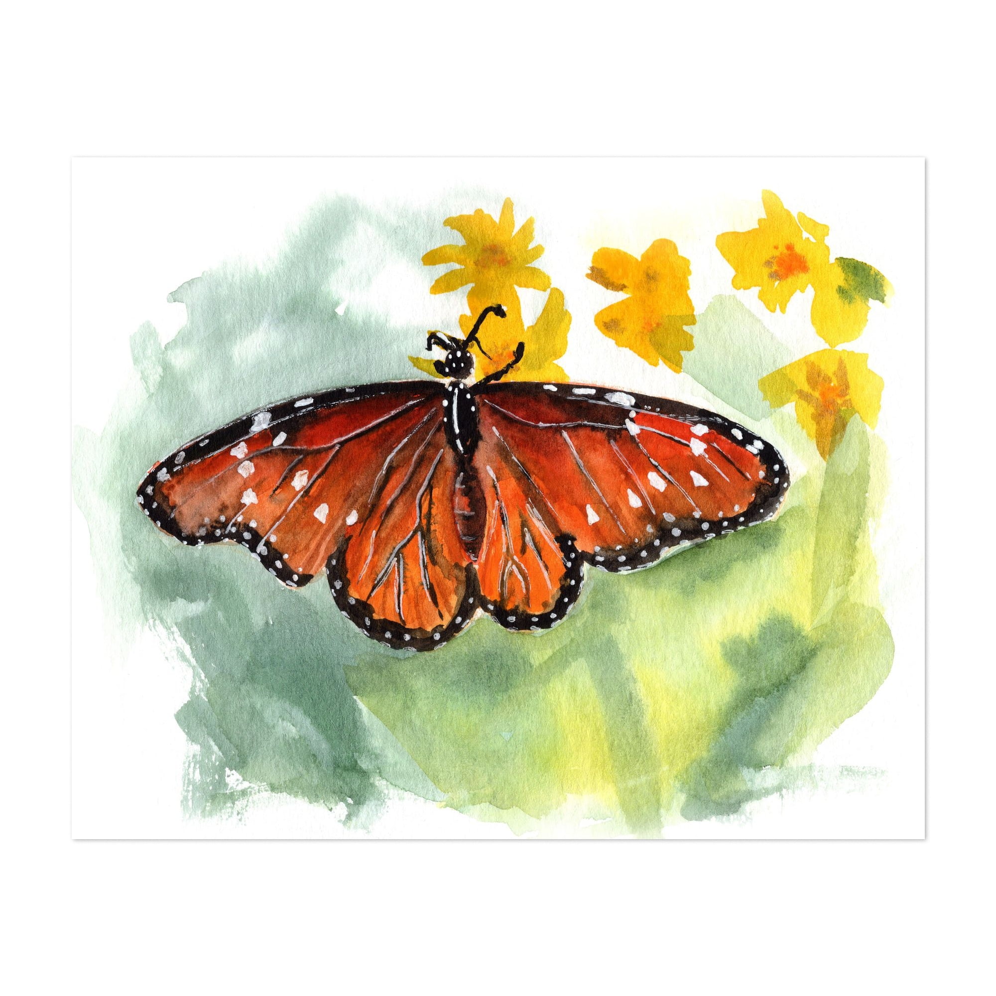 Monarch - Painting Butterfly Watercolor Nature Floral Insect Botanical ...