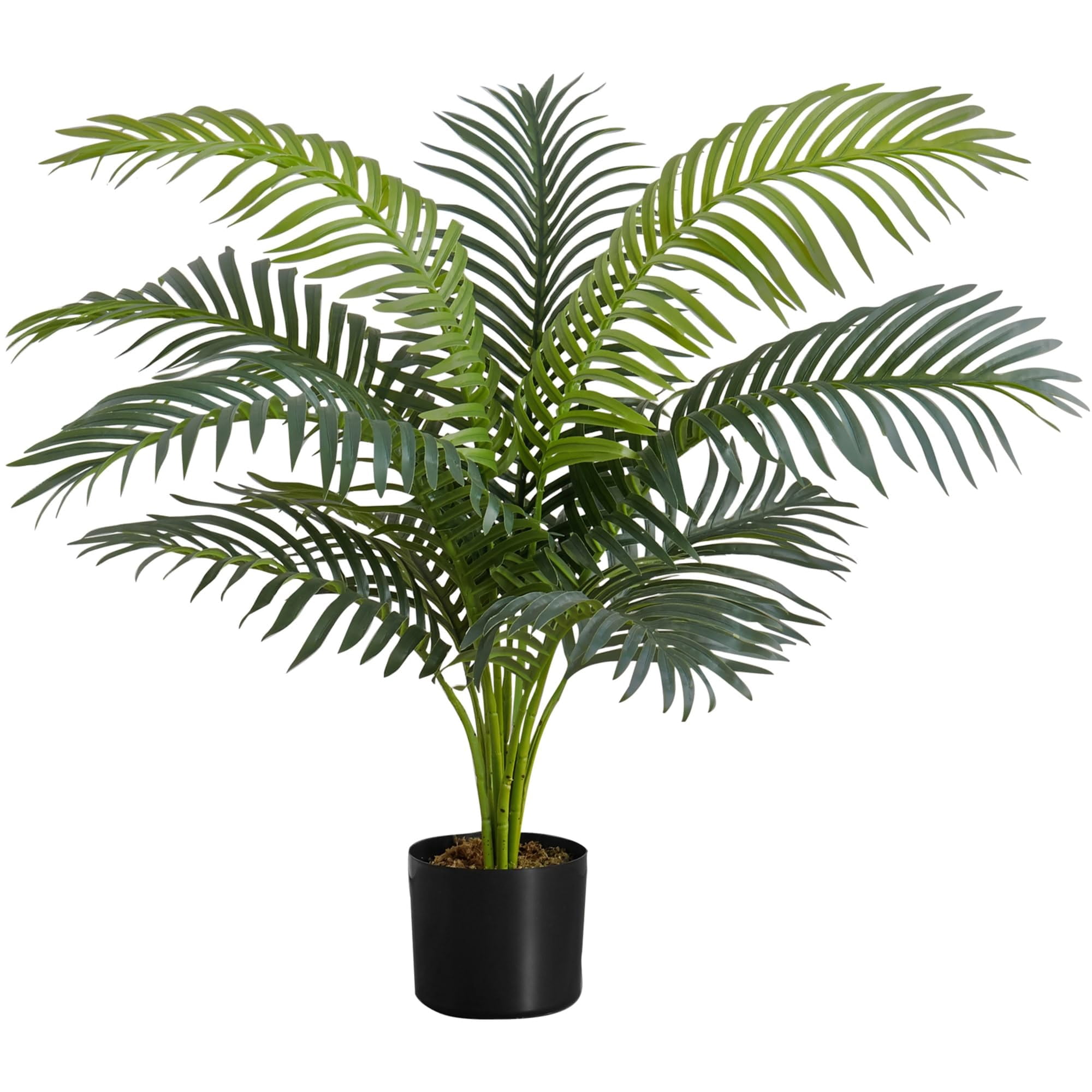 Monarch Specialties I 9539 Artificial Plant, 34" Tall, Palm Tree ...