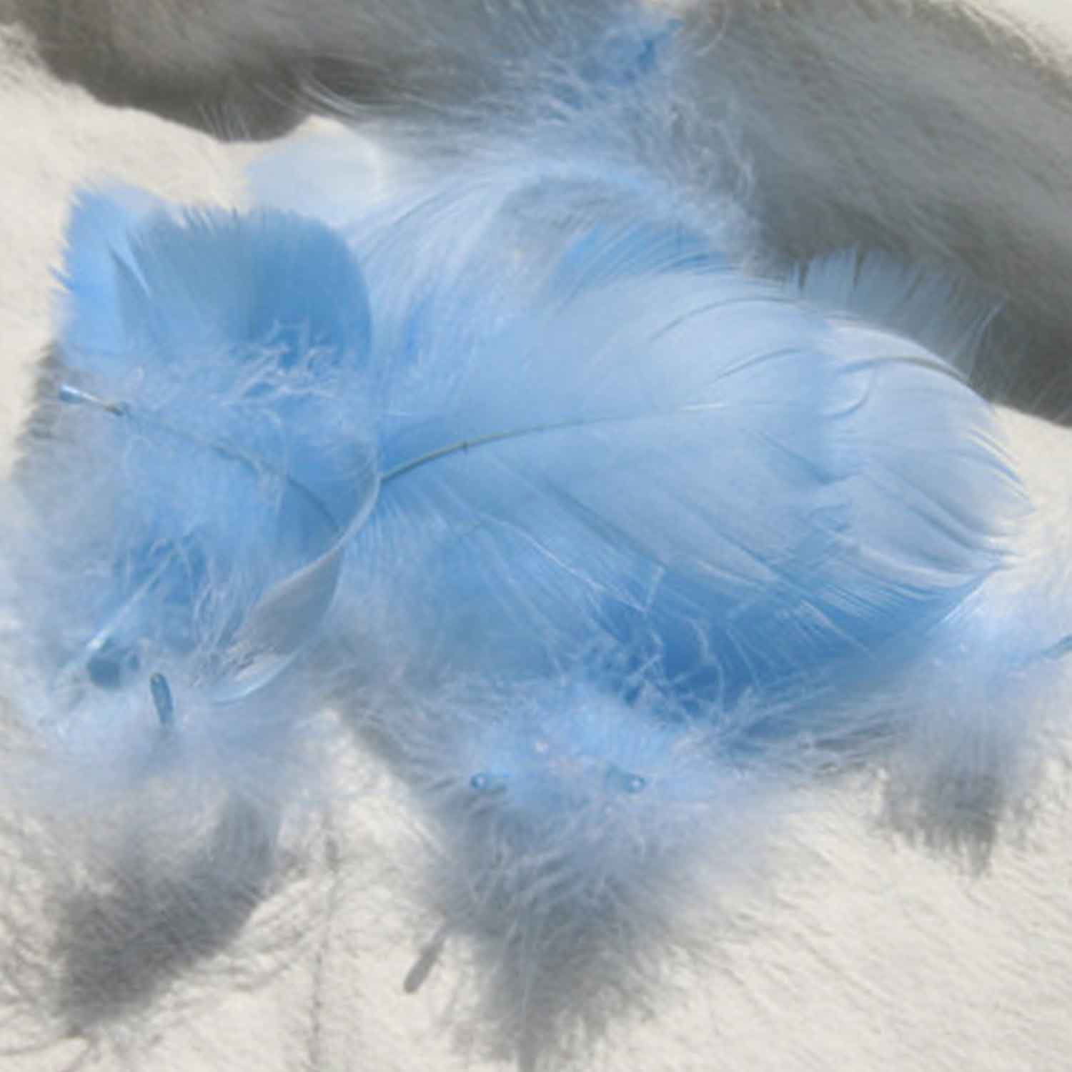 Monebena 100 Pcs Tiny Pastel Colors Goose Feather 5-8CM Assorted Fluffy ...