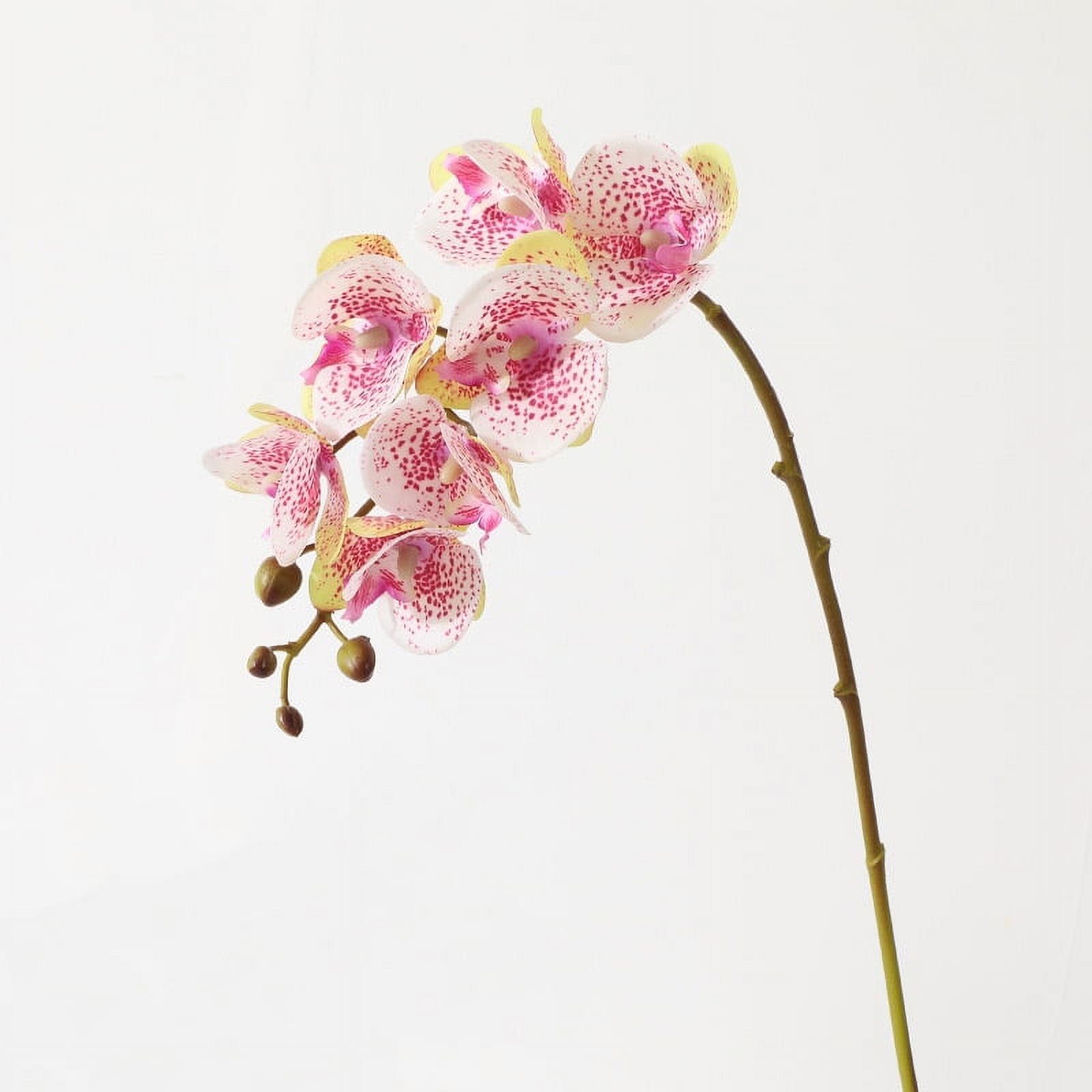 Monebena 2PCS 27.2" Tall Cream Silk Orchid Stems Artificial Flower Stem ...