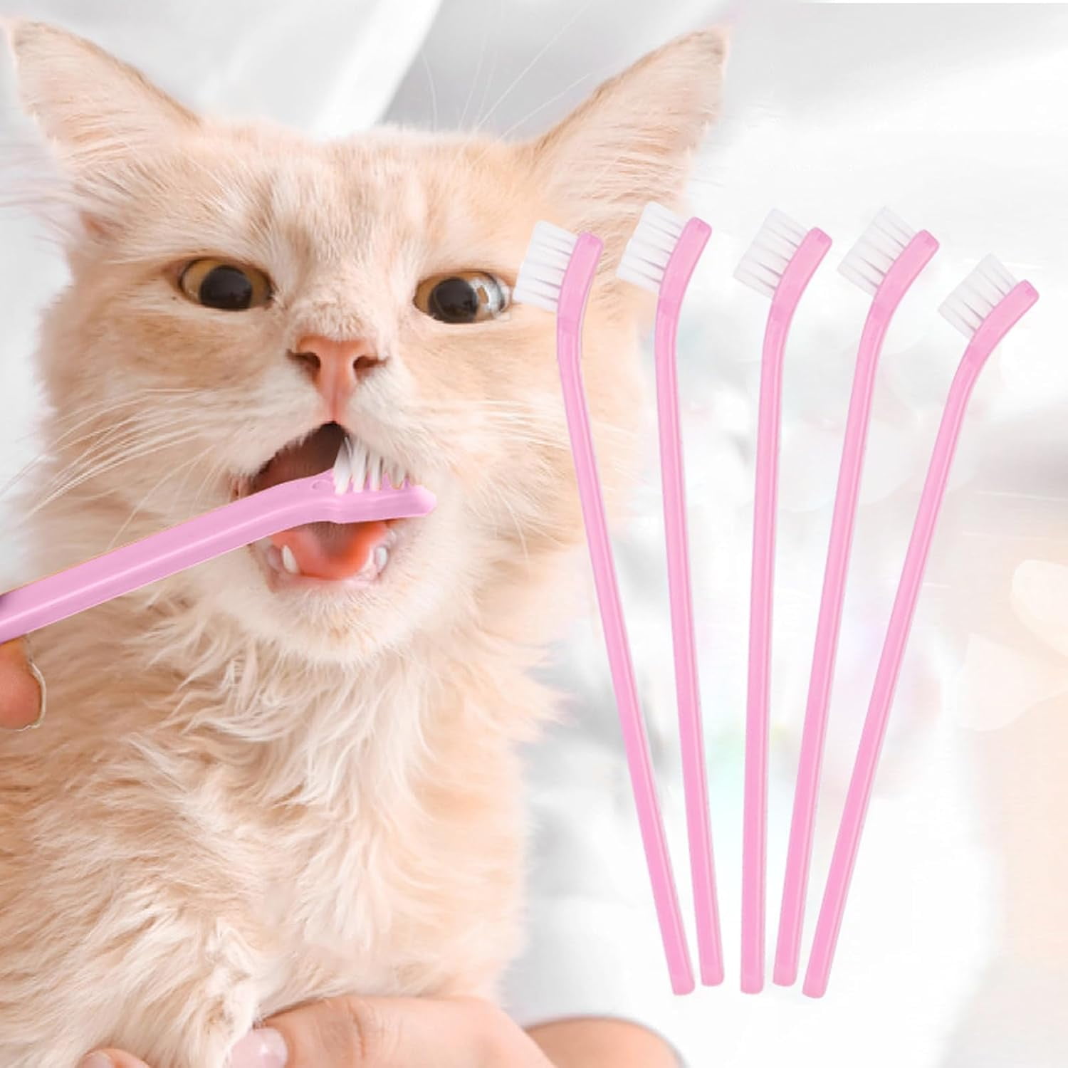 Monebena 5pcs/Pack Dog Toothbrush Puppy Tooth Brushing Kit Cat Dental ...