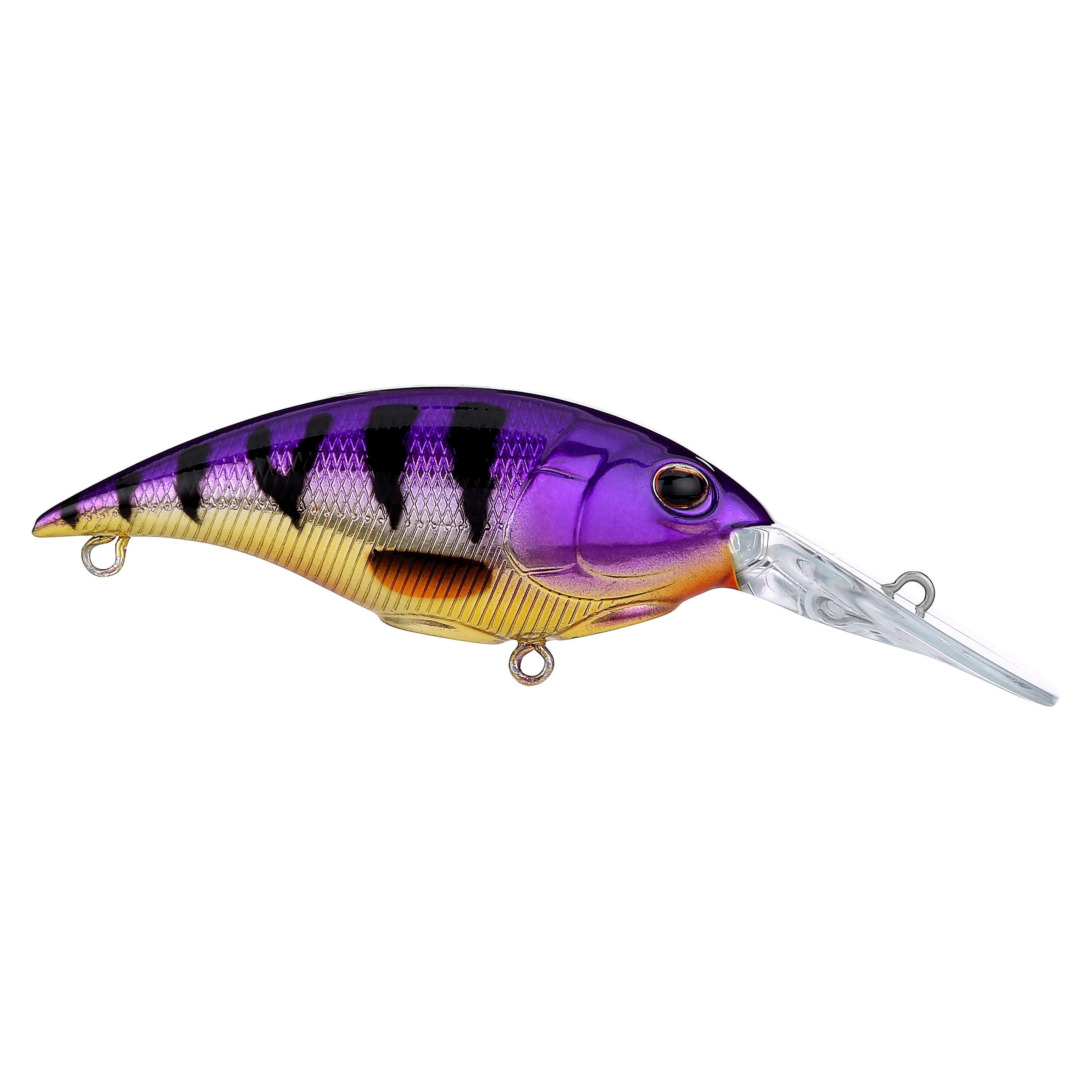 Berkley Money Badger, 5, Viking Perch - Walmart.com