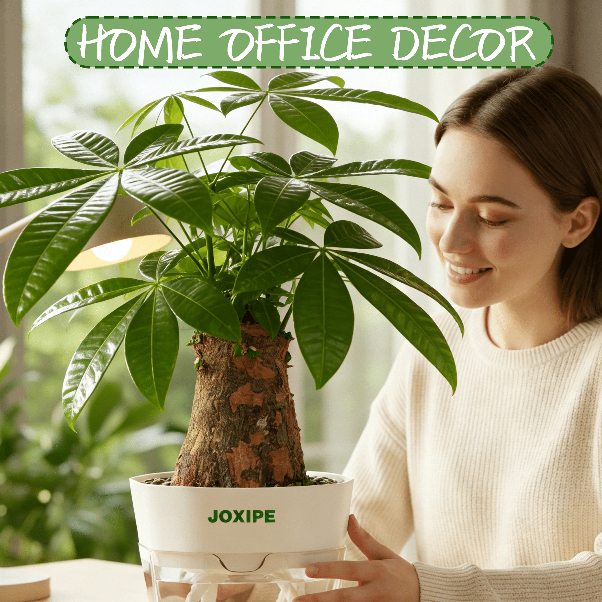 Money Tree Decor in Decorative Pot – Flower Pot with Automatic Watering ...