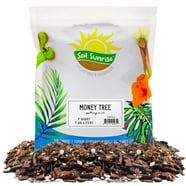 Wakefield BioChar Organic Soil Conditioner, Indoor/Outdoor, 1 Cubic ...