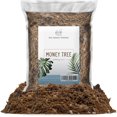 Money Tree Soil (4 Quarts), Potting Mix for Planting/Repotting Pachira ...