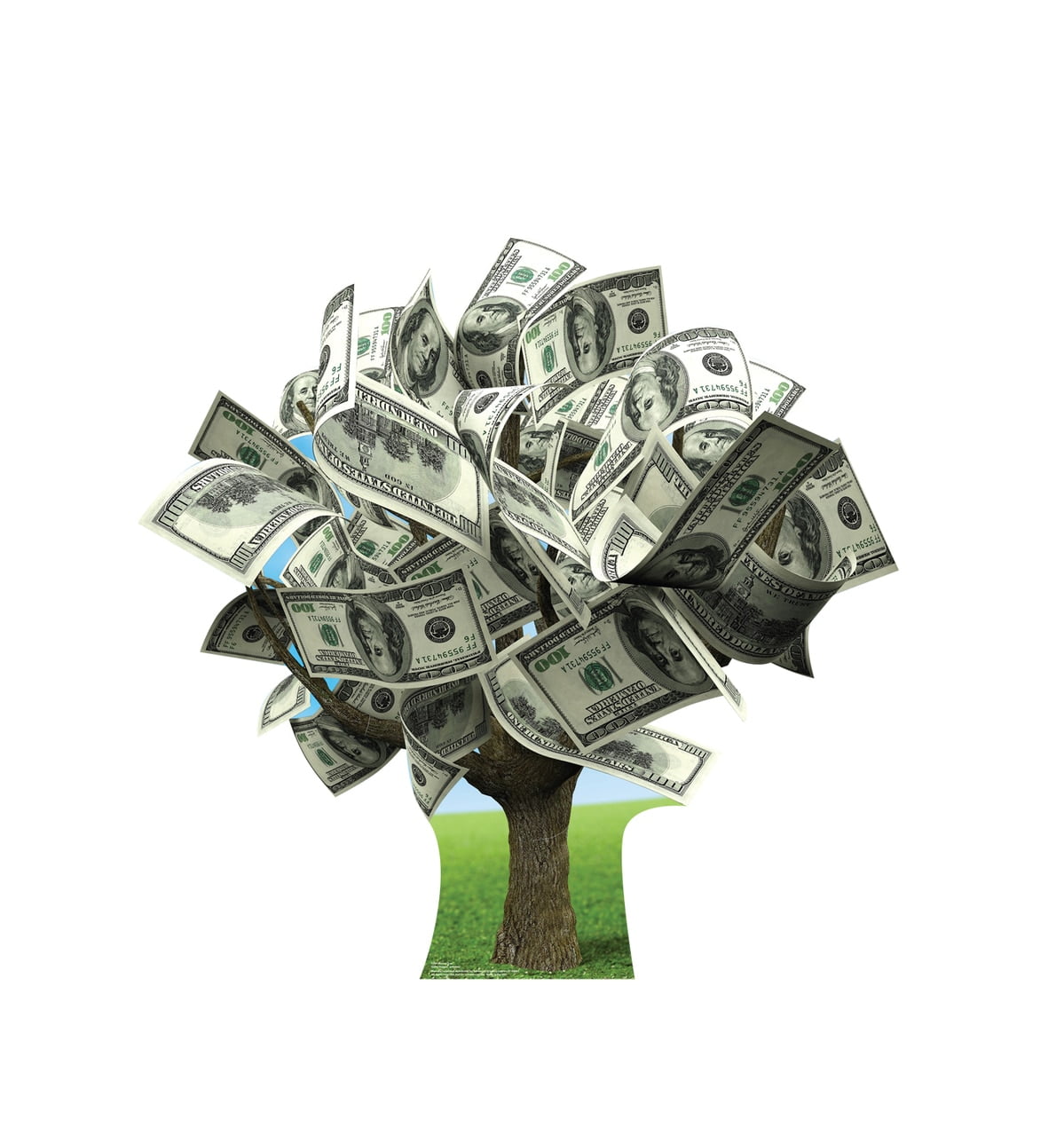 Money Tree - Walmart.com