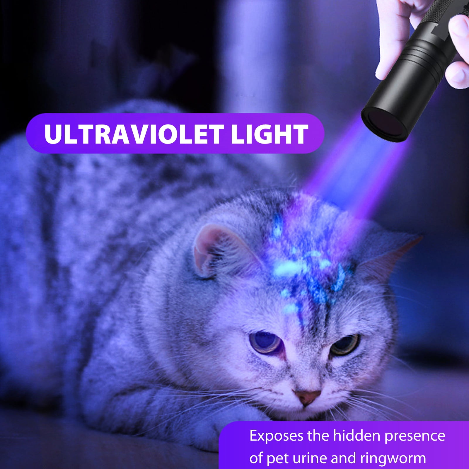 Money checking lamp,365nm 20w Handheld Uv Handheld Torch 20w Portable ...