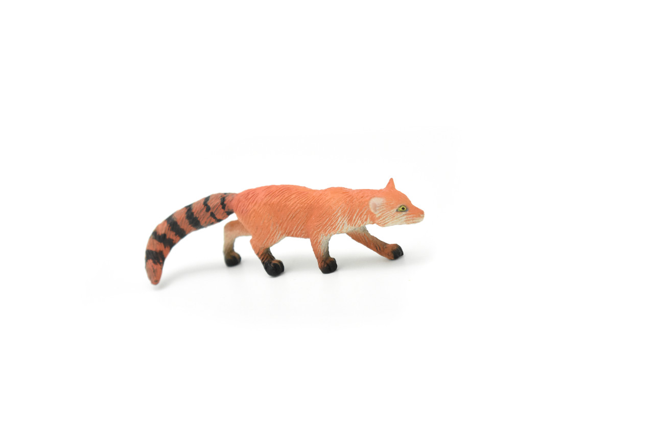 Mongoose Ring-Tailed Plastic Educational Toy, Kids, Realistic Figure ...