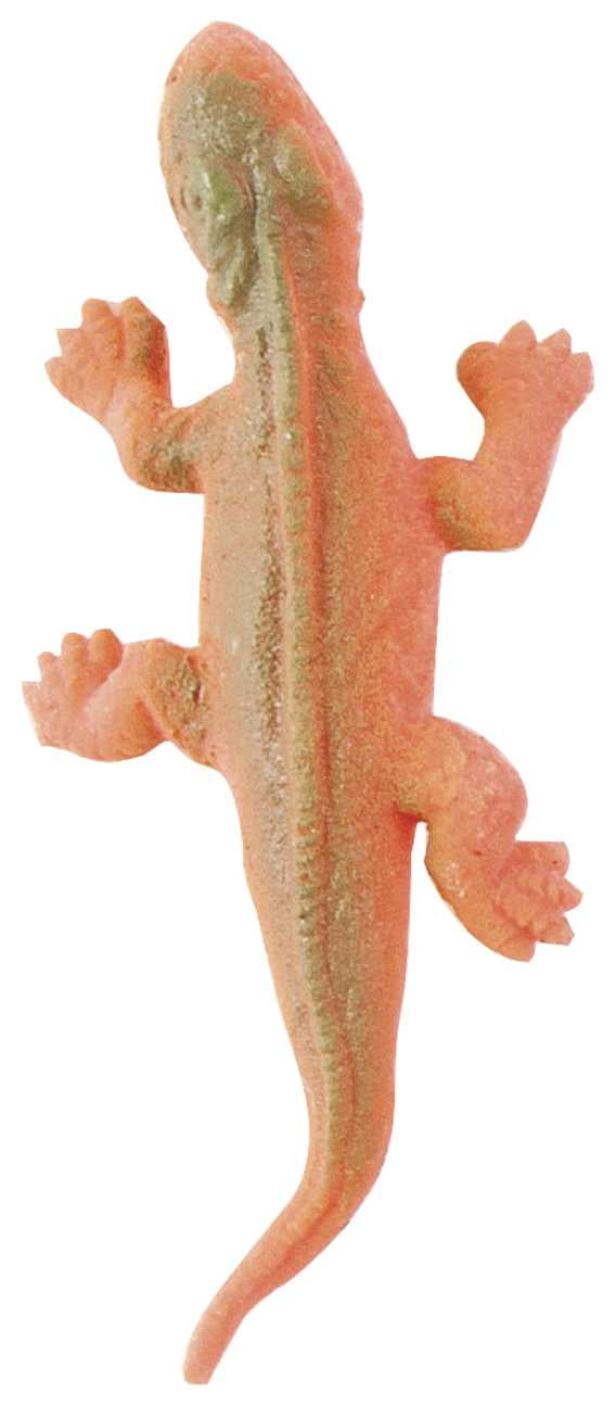 Monitor Lizard Growing Water Toy by Ganz - Walmart.com