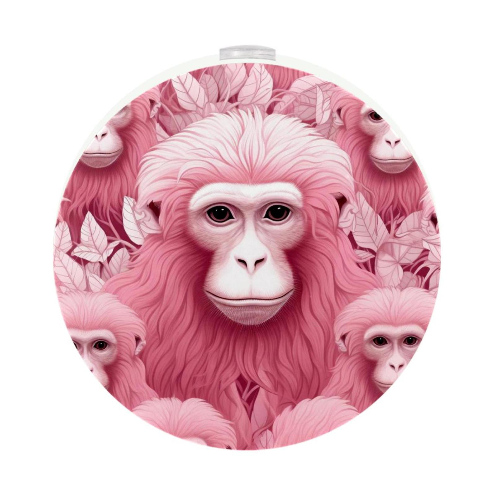 Monkey Bright and Compact LED Round Night Light - Set of 2, Energy ...