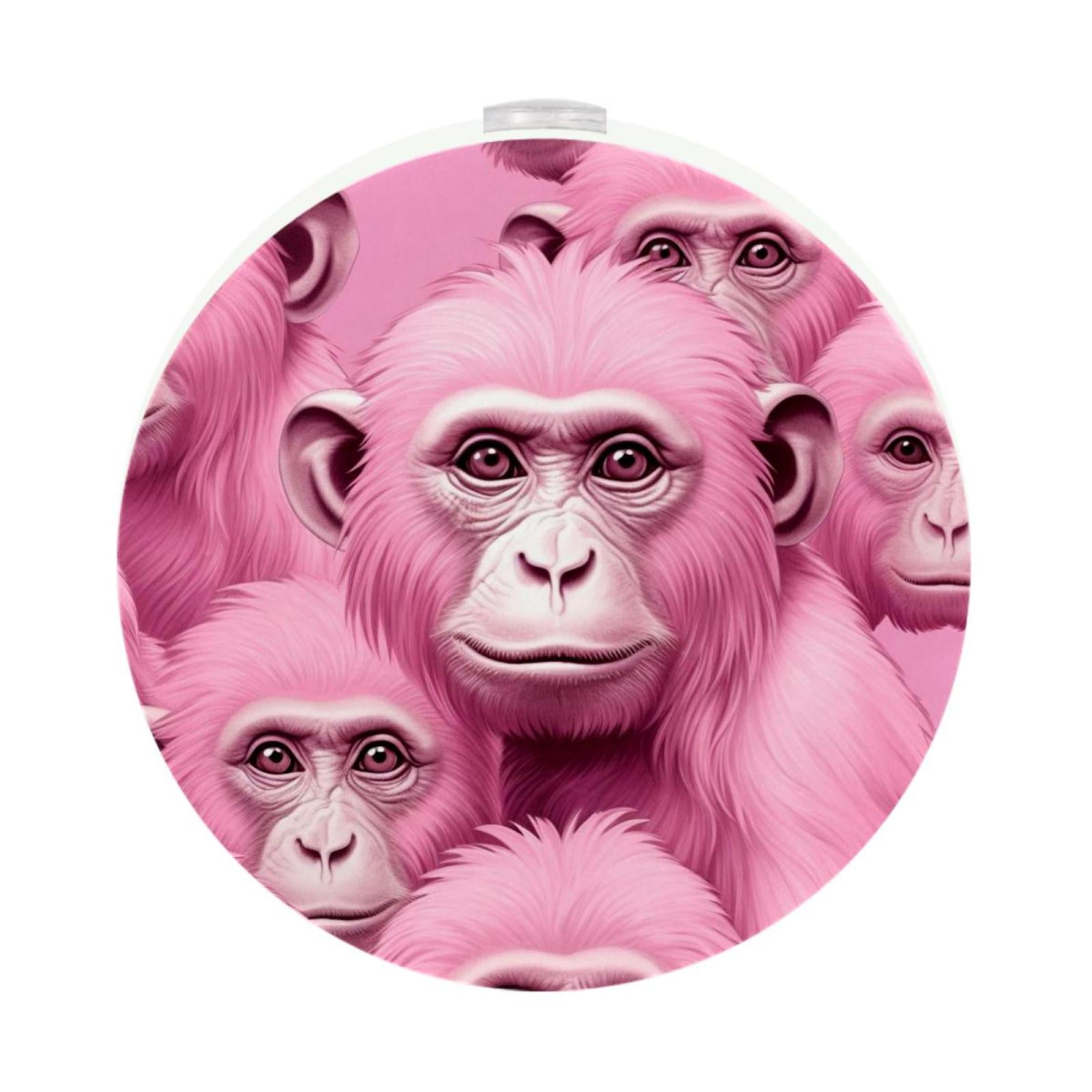 Monkey Bright and Compact LED Round Night Light - Set of 2, Energy ...