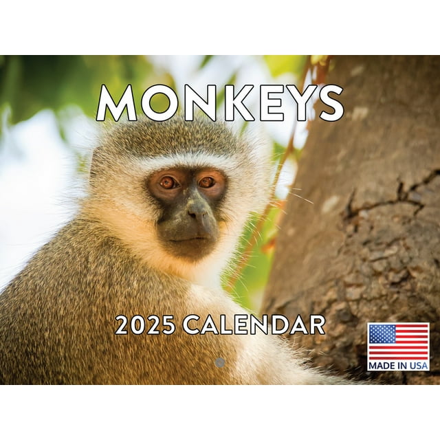 Monkey Calendar 2025 Monthly Wall Calender 12 Month | American Made In ...
