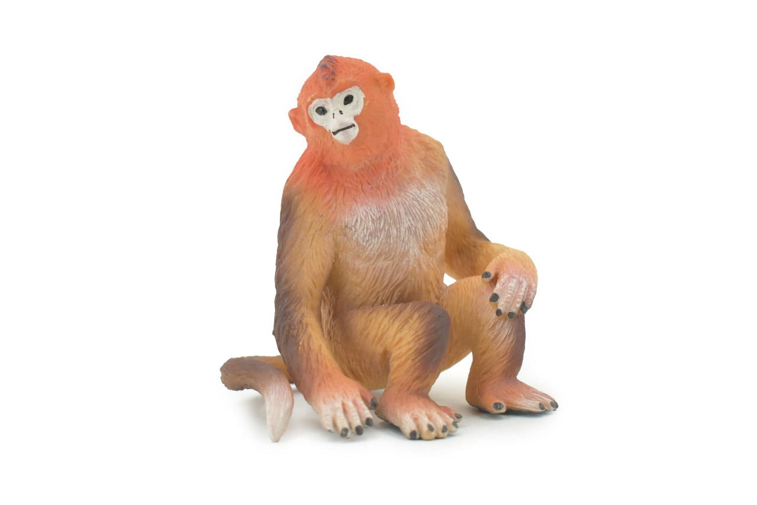 Monkey, Golden monkey, Primate, Museum Quality, Hand Painted, Realistic ...