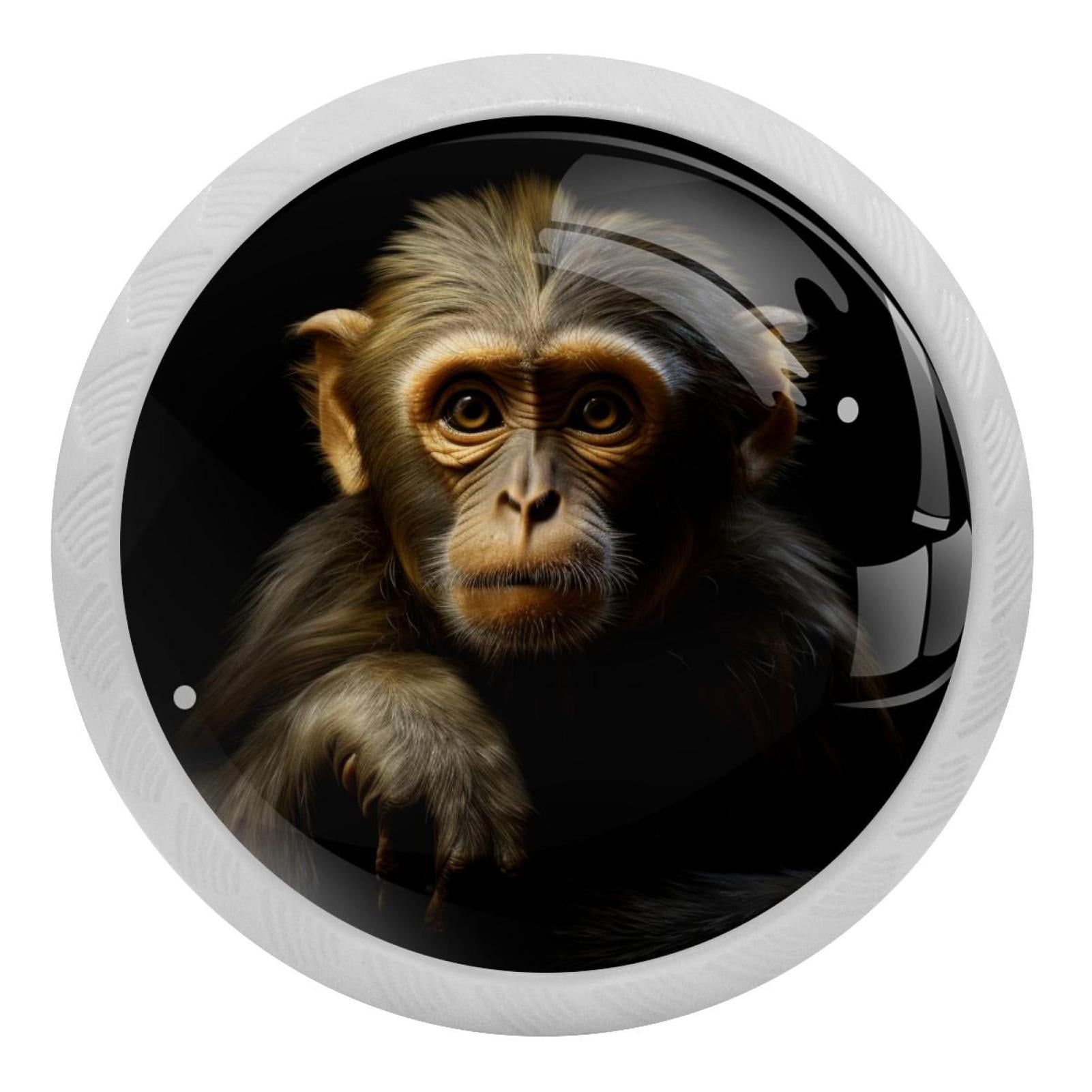 Monkey Kitchen Hardware: Fluorescent Drawer Pulls - Round 4-Pack, Glow ...