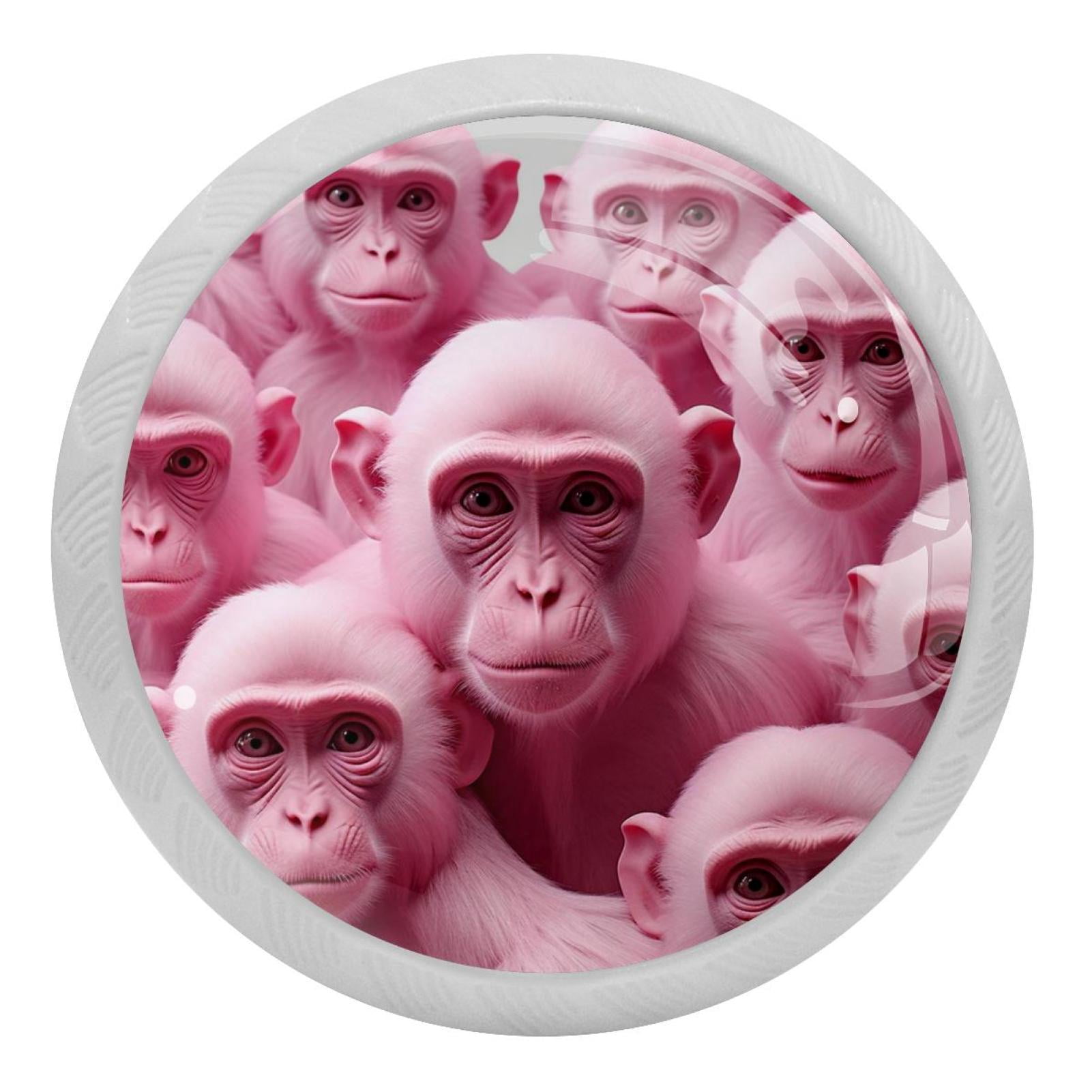 Monkey Kitchen Hardware: Fluorescent Drawer Pulls - Round 4-Pack, Glow ...