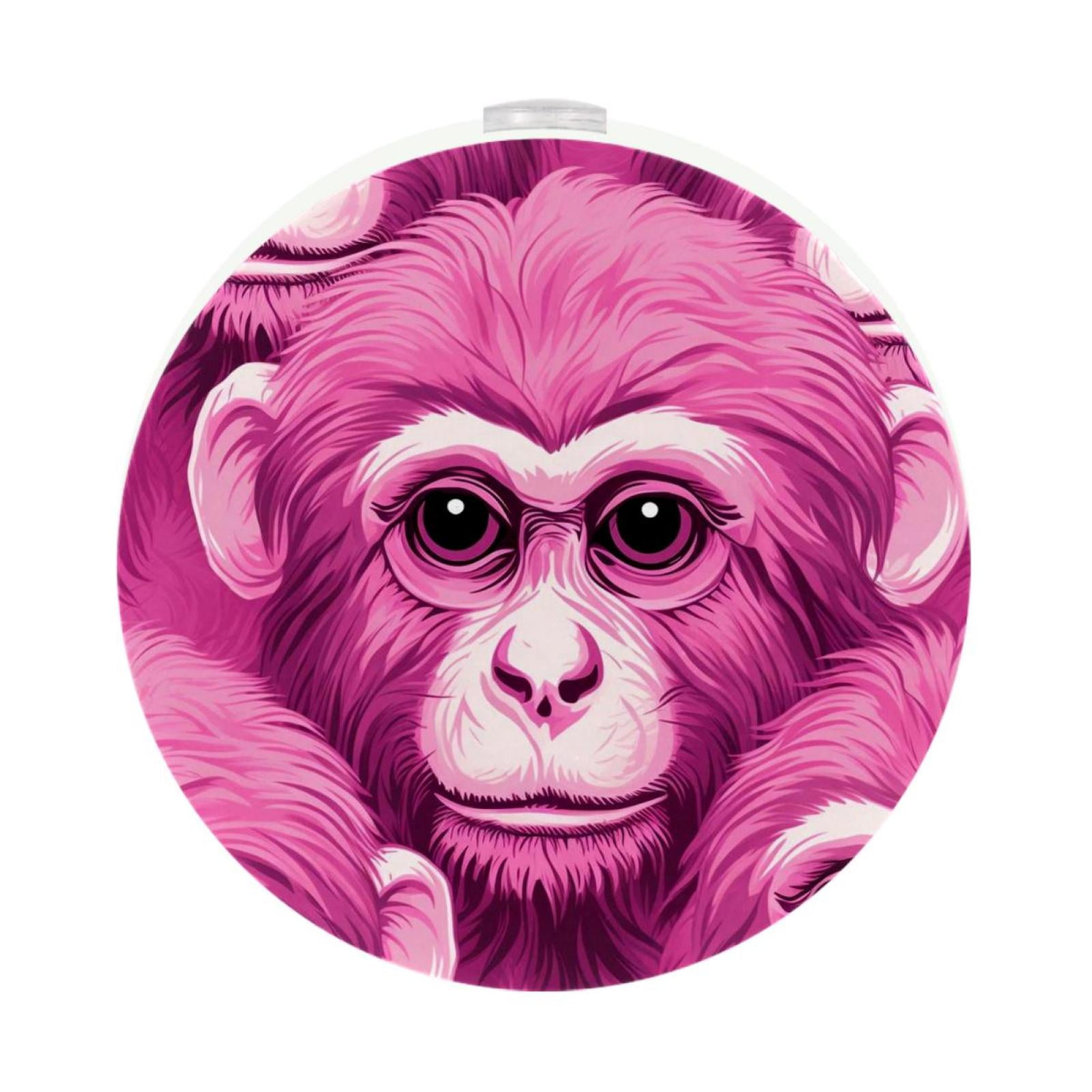 Monkey LED Round Night Light - 2 Pack, Plug-in Motion Sensor Wall Lamp ...