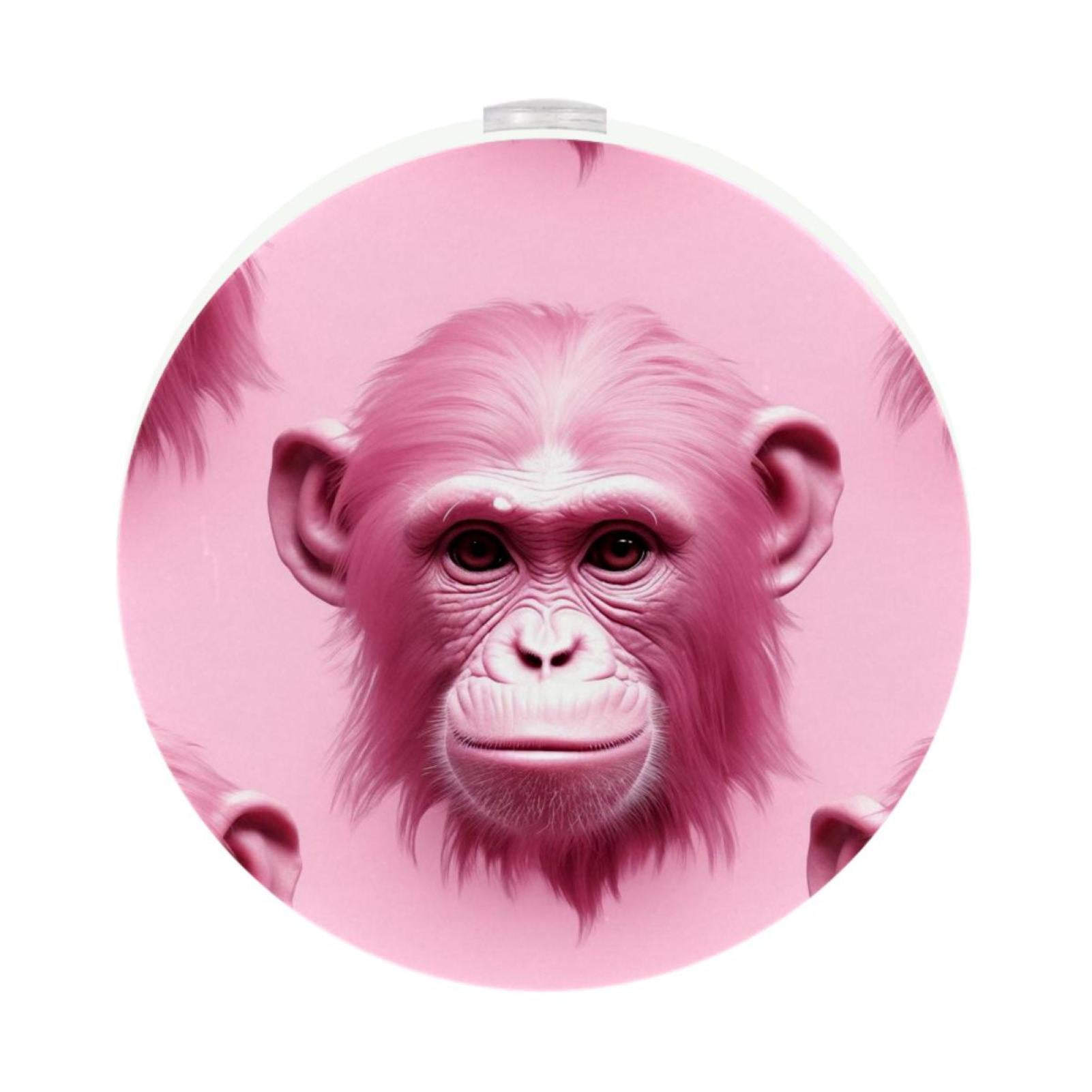 Monkey LED Round Night Light - 2PCS, Dimmable Plug-in Nightlight with ...