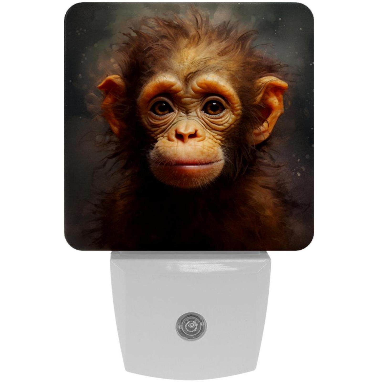 Monkey LED Square Night Lights - Energy Efficient and Contemporary ...