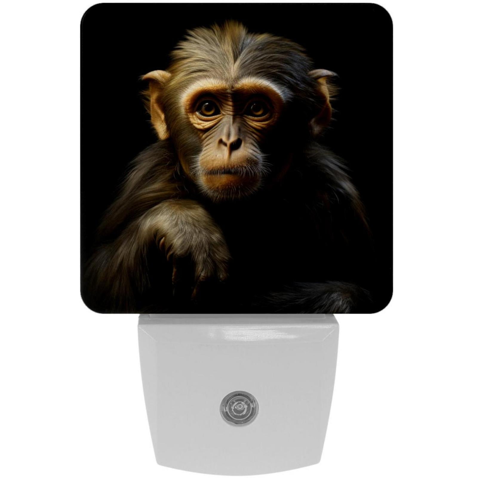 Monkey LED Square Night Lights - Energy Efficient and Contemporary ...