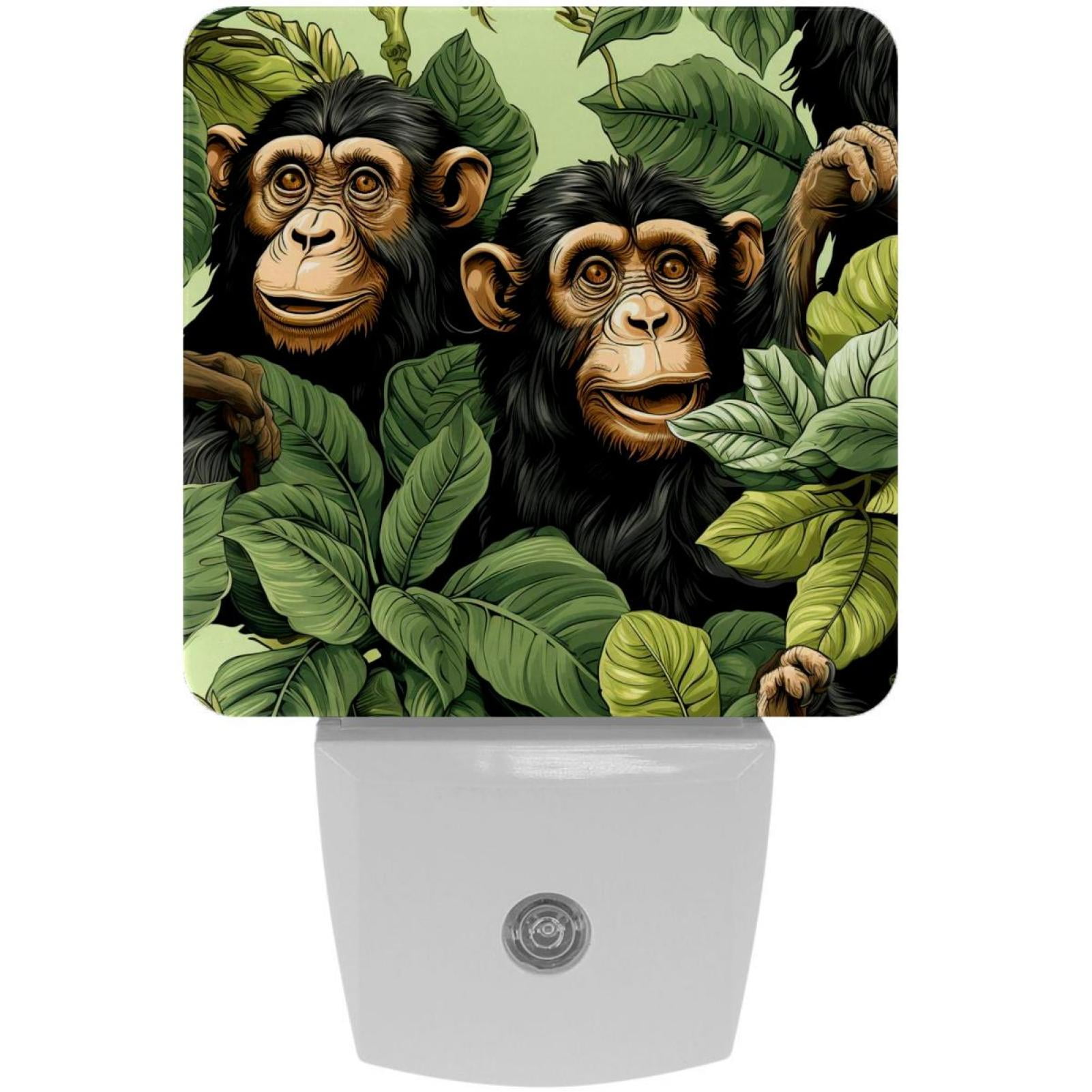 Monkey LED Square Night Lights - Energy Efficient Plug-in Wall Lamp ...