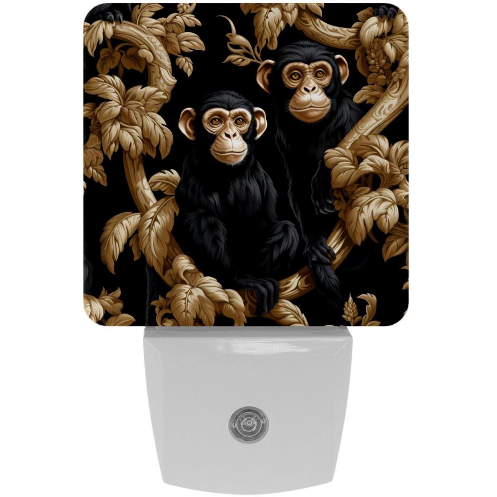 Monkey LED Square Night Lights- Modern and Energy Efficient Bedside ...