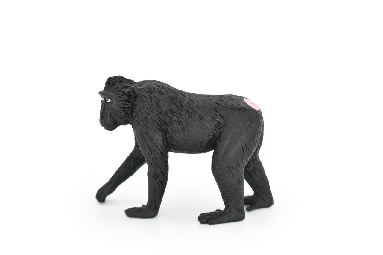 Monkey, Macaque, Celebes Crested, Realistic Small Toy Model Plastic ...