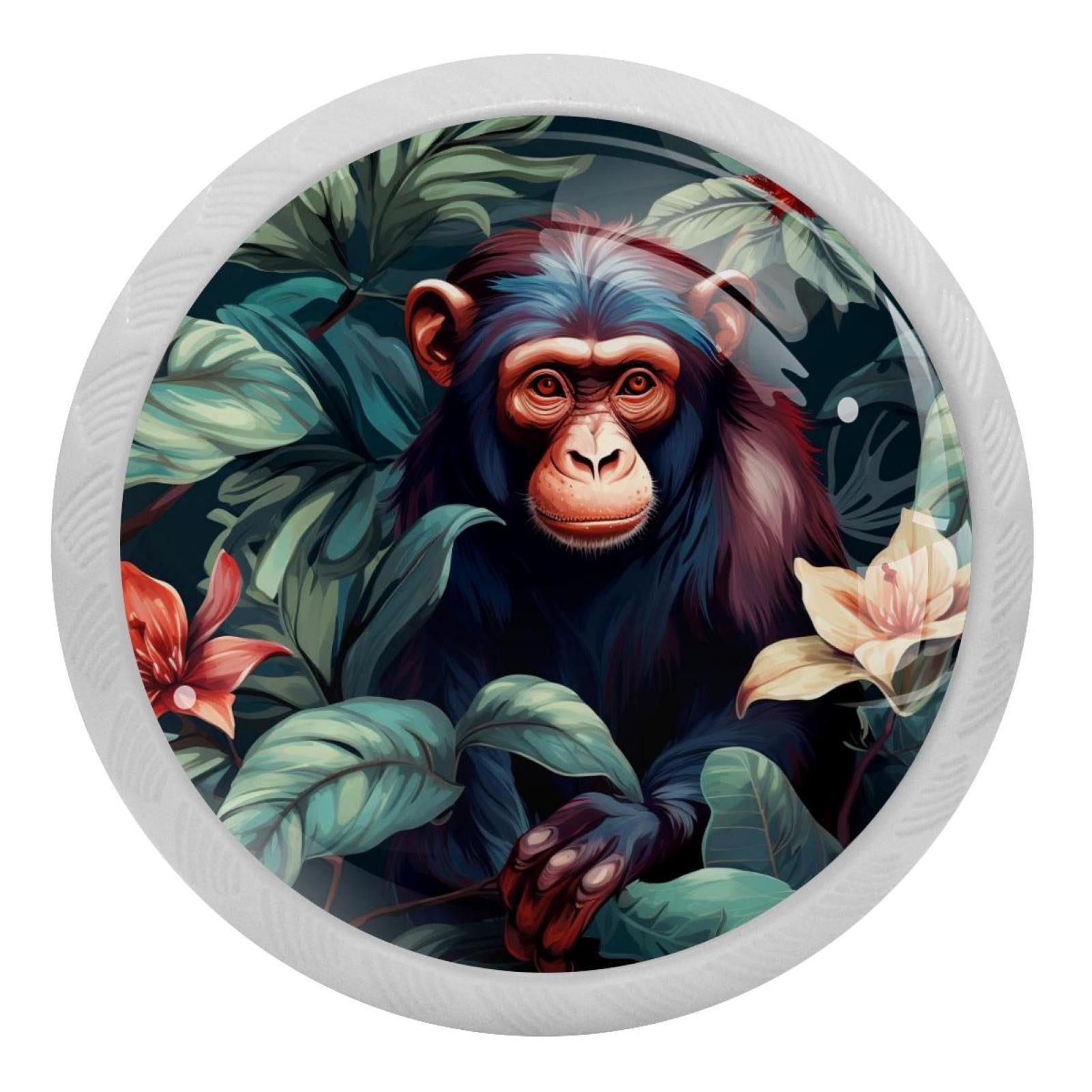 Monkey Pattern 4PCS Cabinet Knobs Pulls Fluorescent Drawer Handle ...