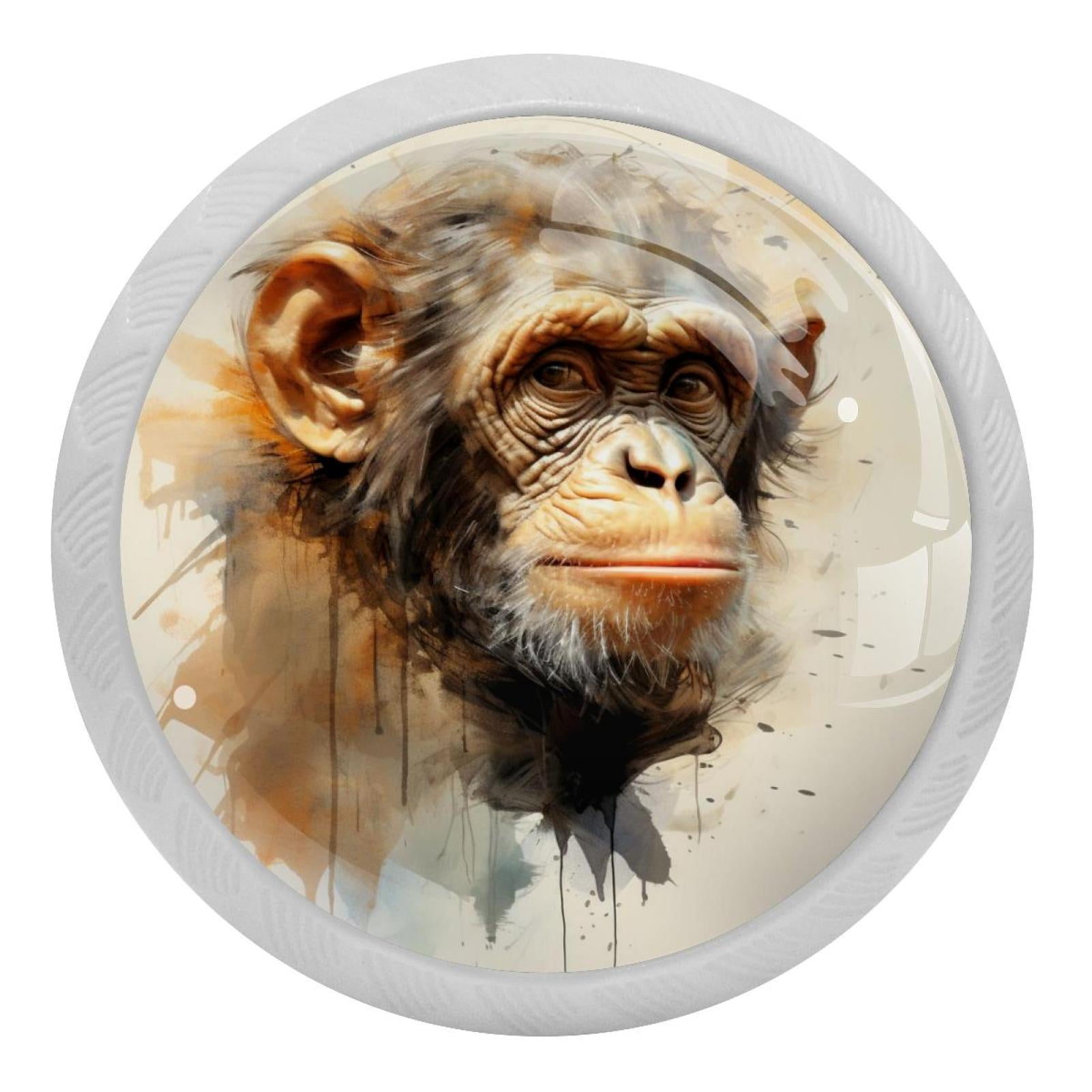 Monkey Pattern 4PCS Cabinet Knobs Pulls Fluorescent Drawer Handle ...