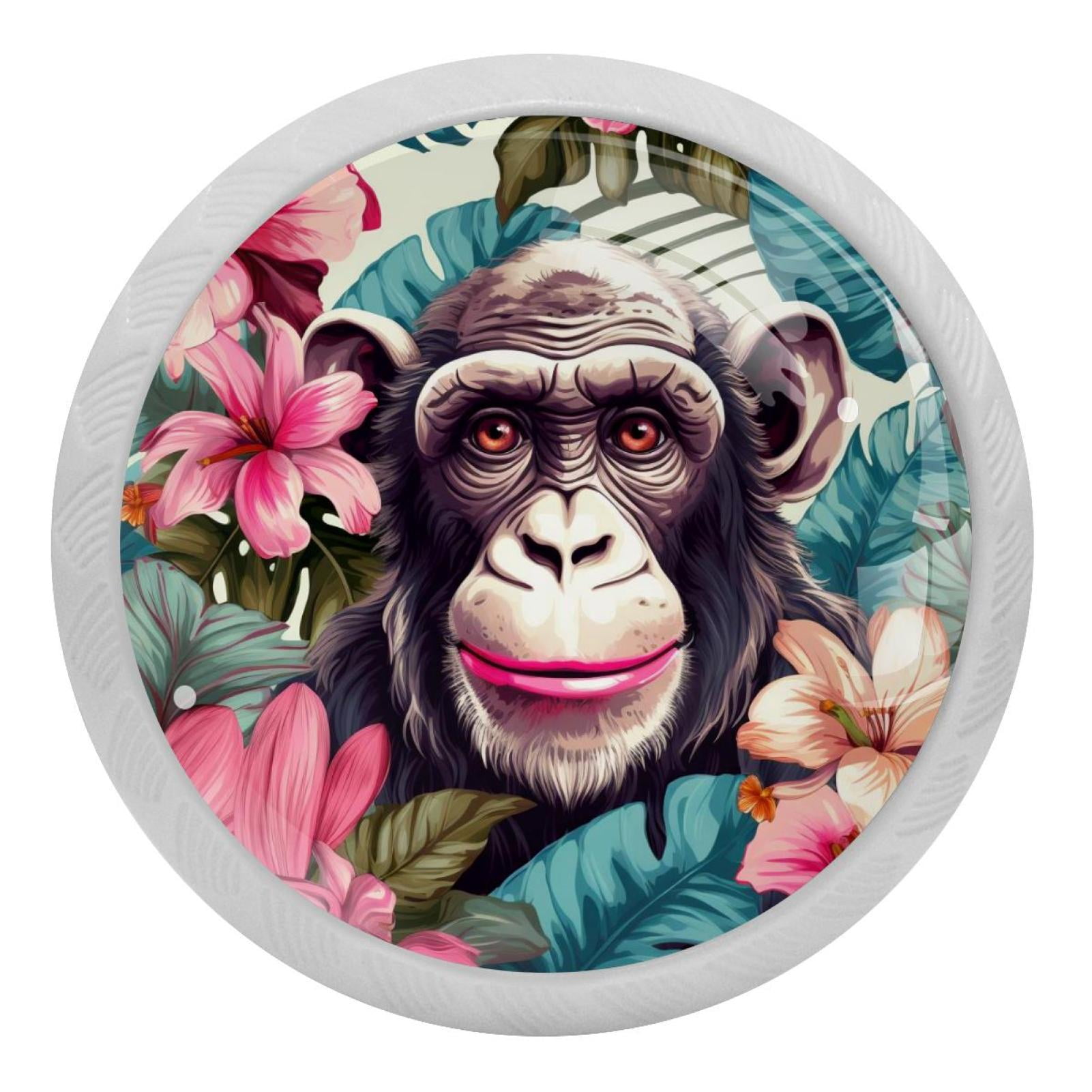 Monkey Pattern 4PCS Cabinet Knobs Pulls Fluorescent Drawer Handle ...