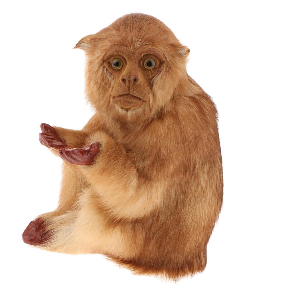 Monkey Statues Home Decor- - Walmart.com