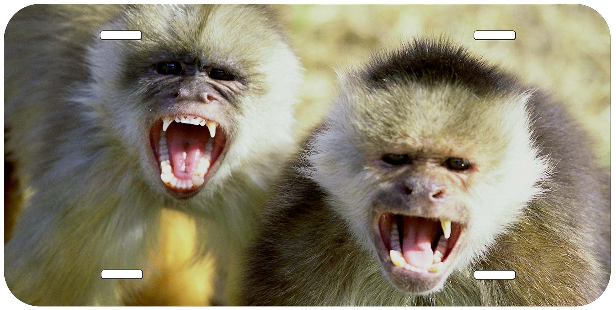 Monky Tag