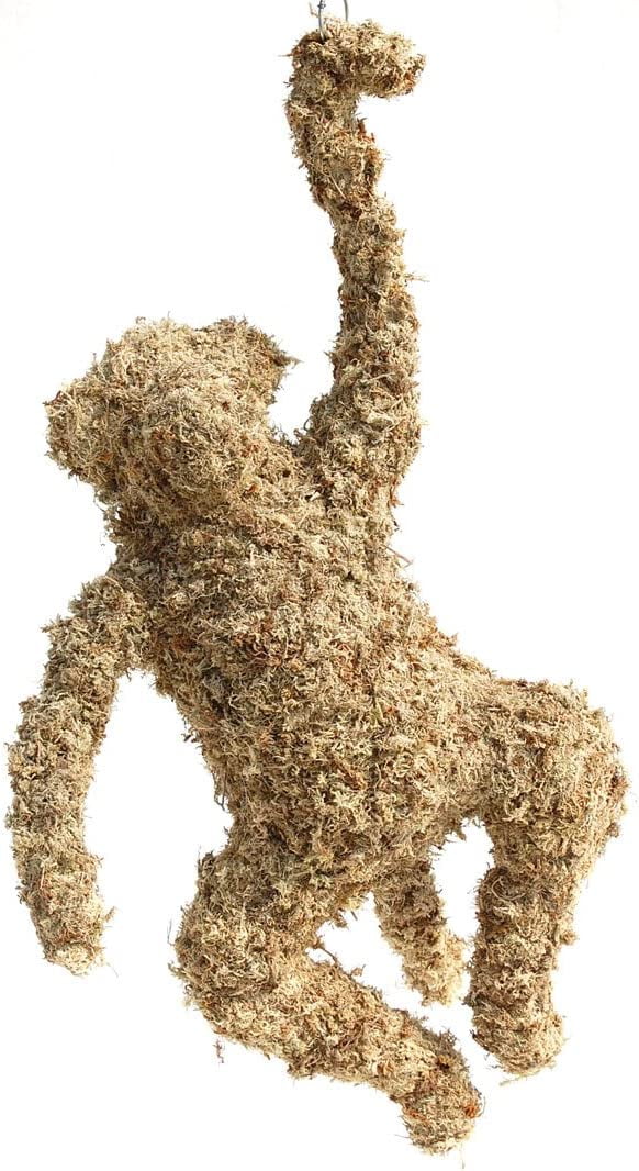 Monkey Topiary (15") Sphagnum Moss Topiary Form - Walmart.com