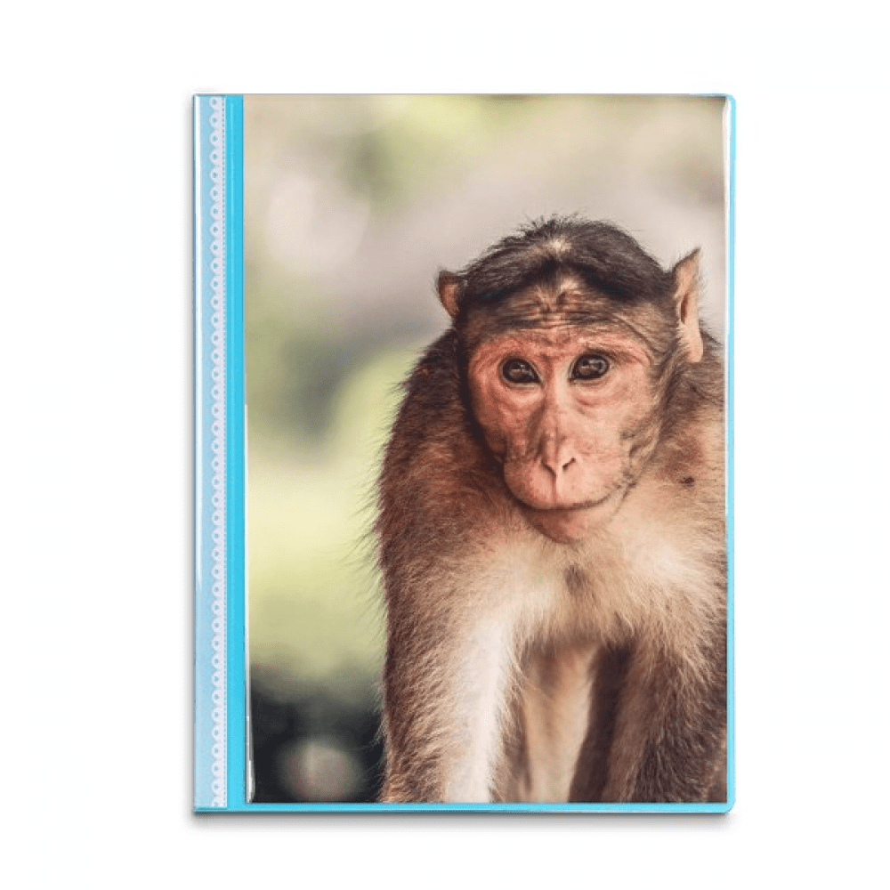 Monkey m Animal Book Sheet Protectors Portfolio Binder Folder - Walmart.com
