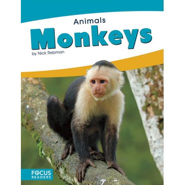 Count the Monkeys (Hardcover) - Walmart.com