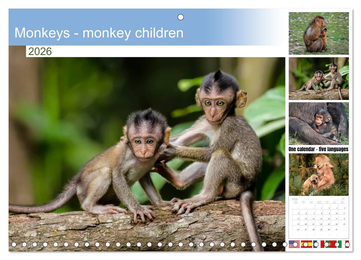 Monkeys - monkey children (Monthly Wall Calendar 2026 16.5 x 23.4 (open ...