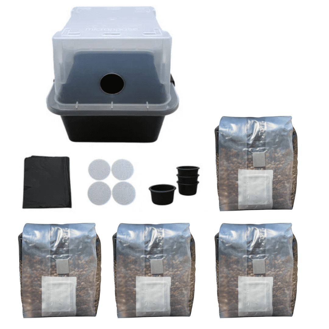 MonoTub Mushroom Grow Kit | 4 Pack All-in-One Mushroom Grow Bags and ...