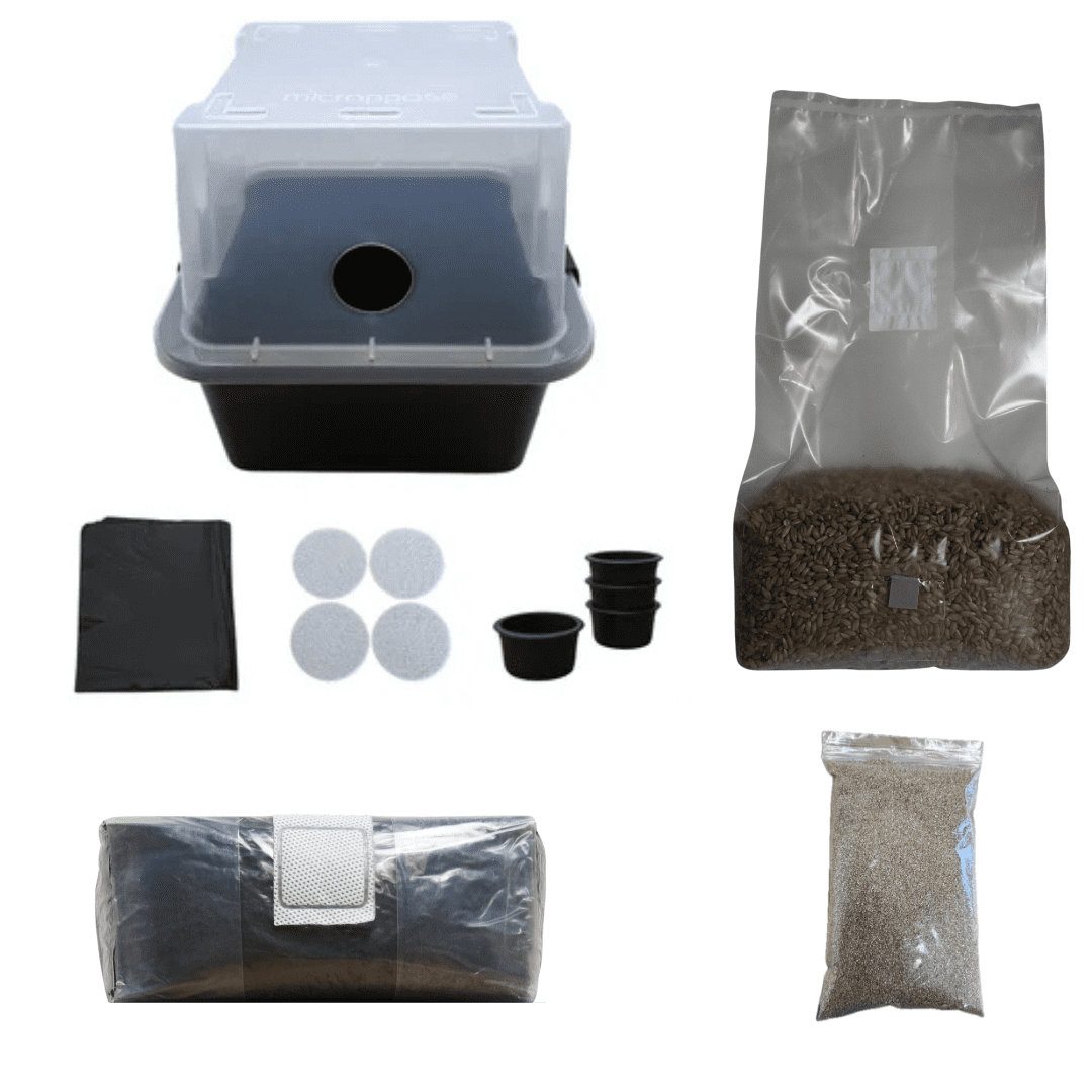 MonoTub Mushroom Growing Kit | Includes 5 Pound Sterile Grain Spawn ...