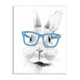 Monochrome Bunny Rabbit Blue Glasses Portrait Design Animals & Insects ...