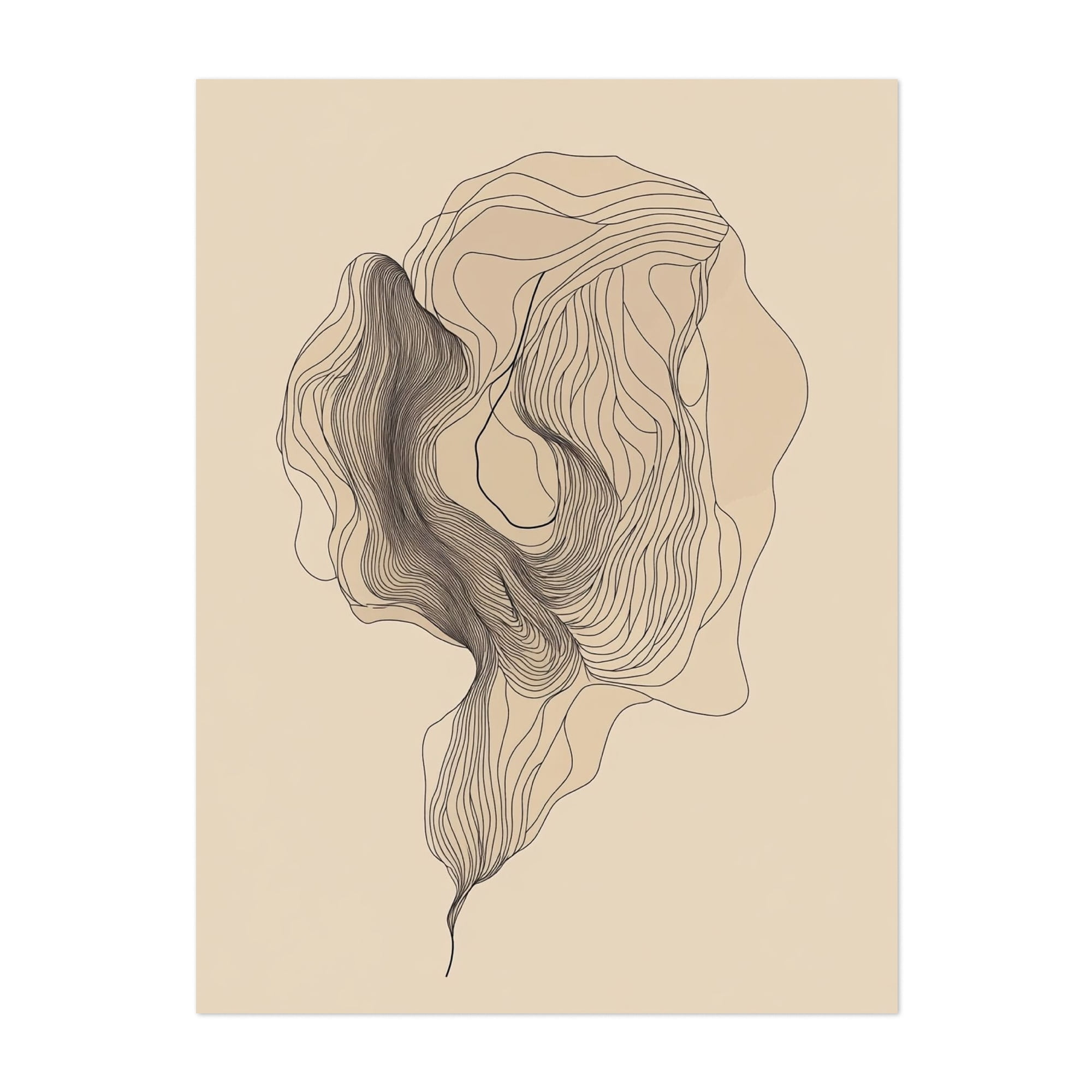 Monochrome Minimalist Floral Illustration - Line Drawing Abstract Line ...