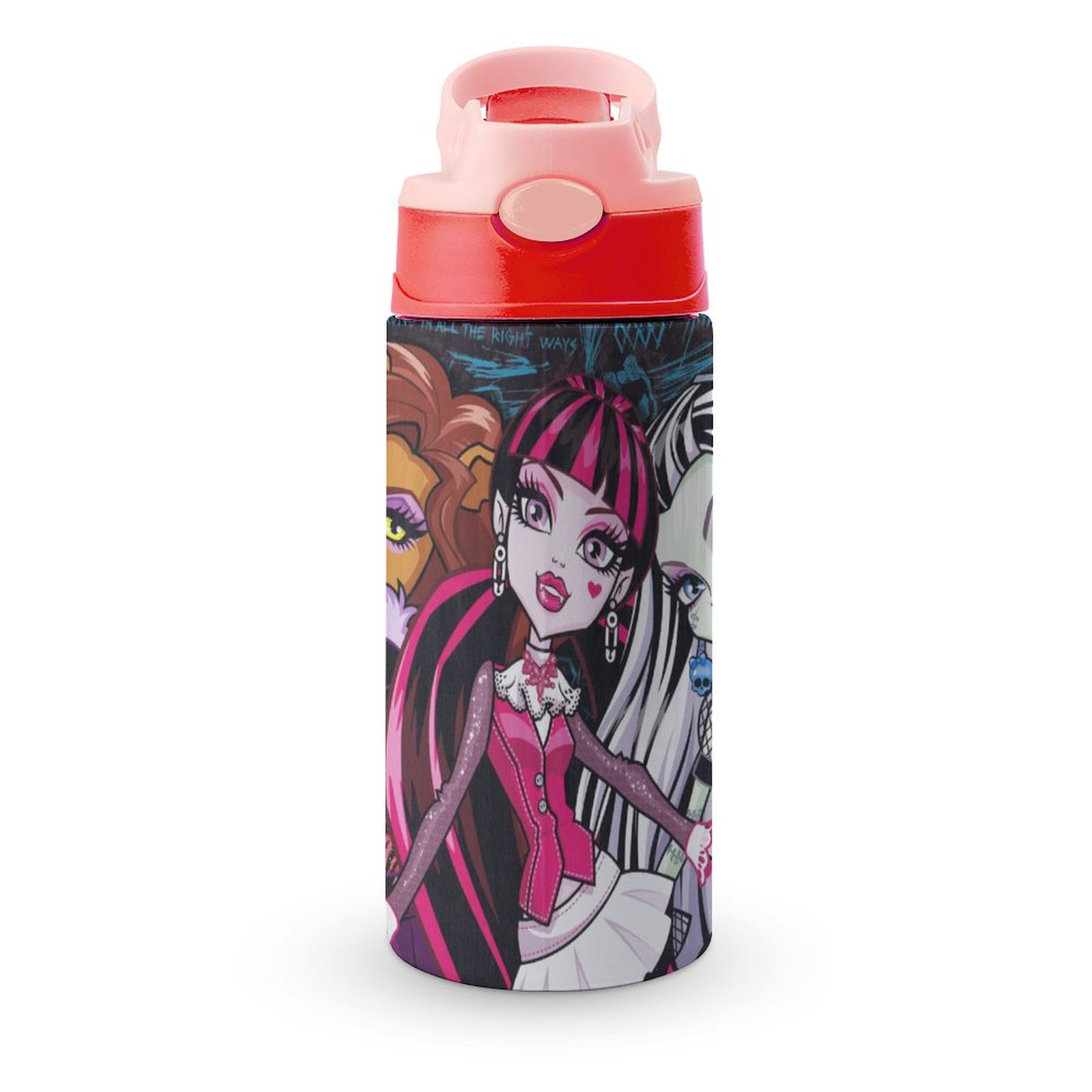 Monster High Kids Straw Water Bottle, Stainless Steel Vacuum Insulated ...