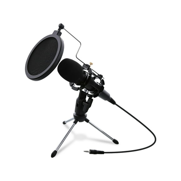 Microphone Streaming