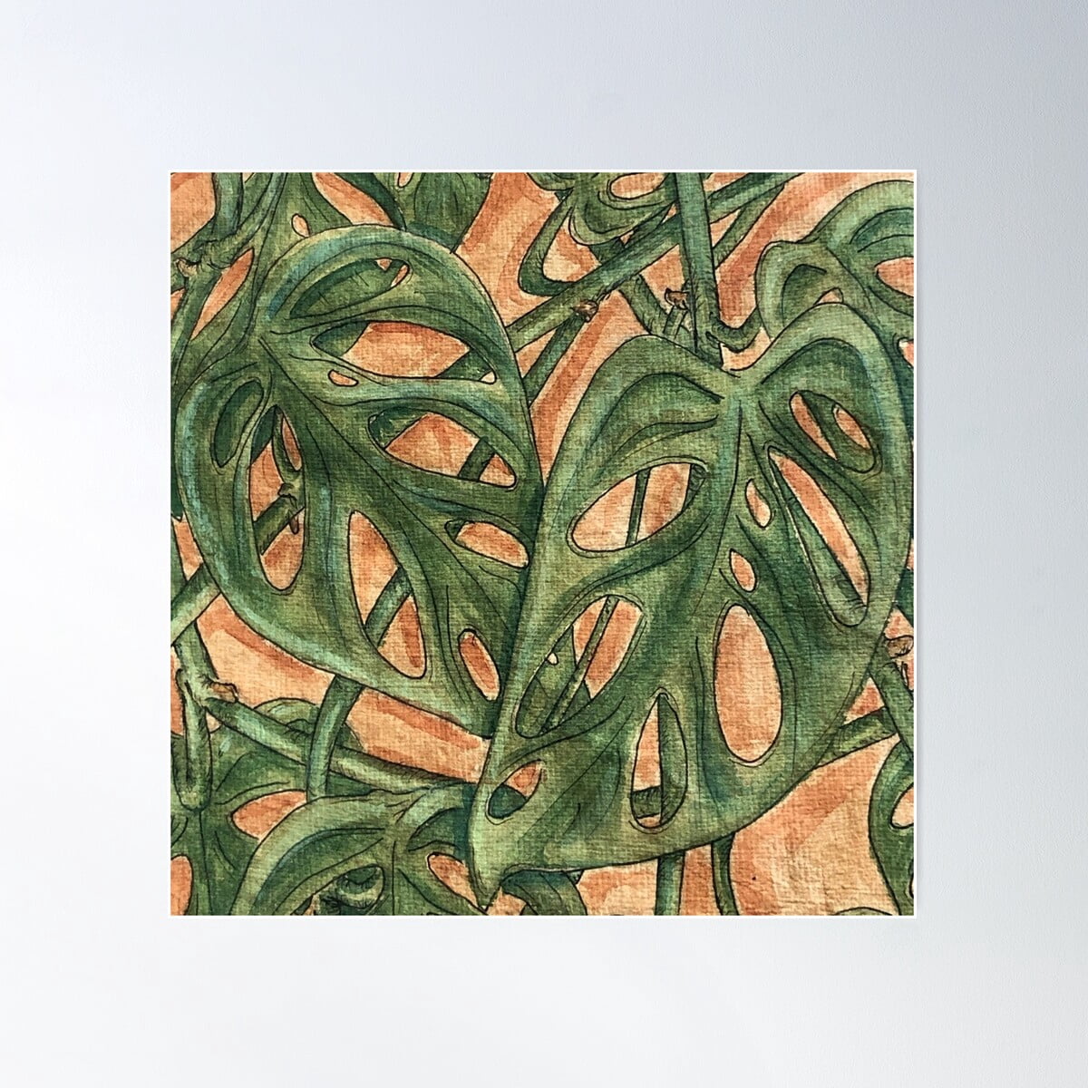 Monstera Adansonii Double Leaf Watercolor W/ Backgound Poster Wall Art ...