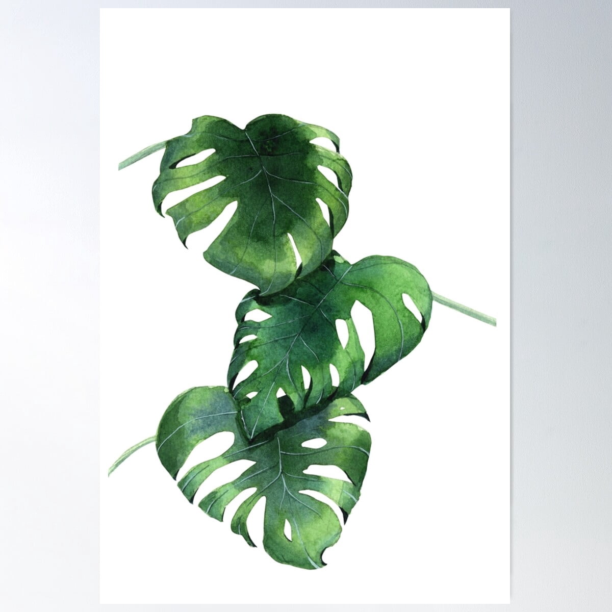Monstera Deliciosa Poster Wall Art, Modern Wall Decor For Living Room ...
