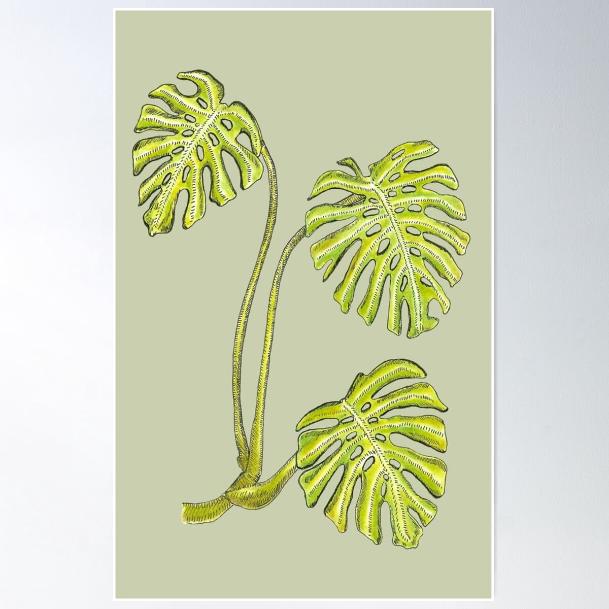 Monstera Deliciosa Poster Wall Art, Modern Wall Decor For Living Room ...