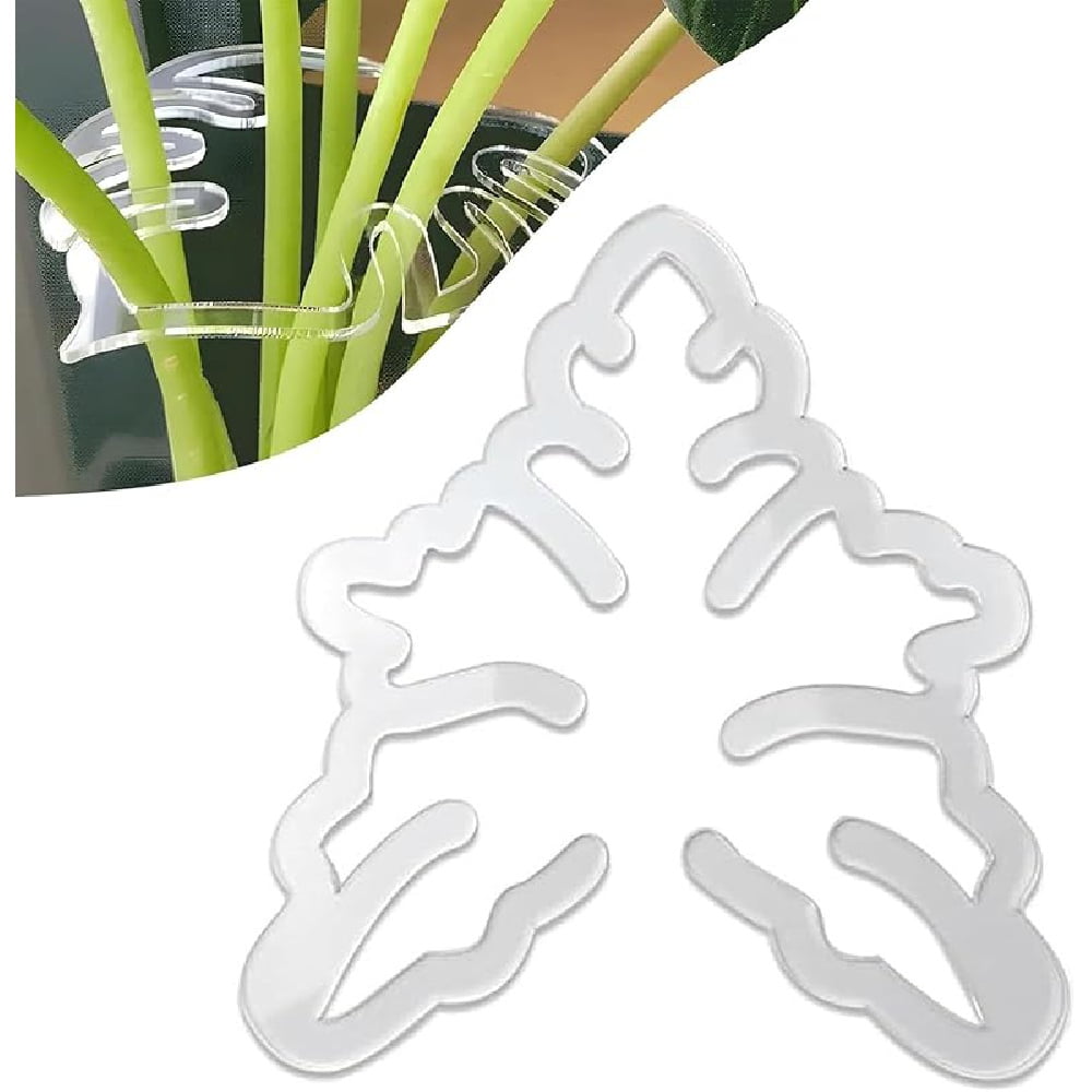 Monstera Grapple, Monstera Plant Support, Monstera Leaf Plant Support ...