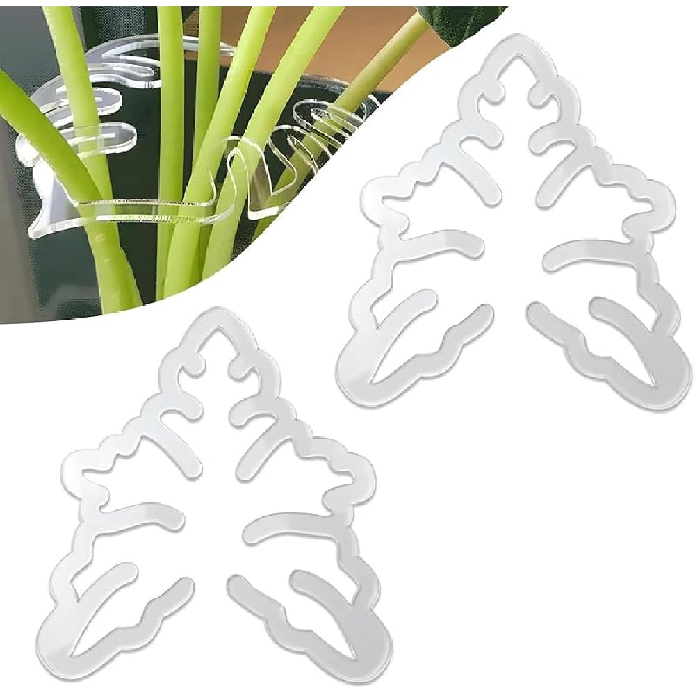 Monstera Grapple, Monstera Plant Support, Monstera Leaf Plant Support ...